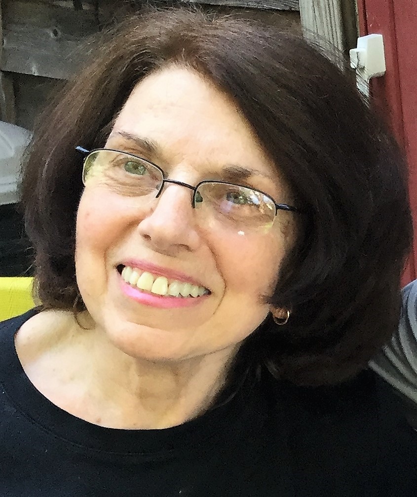 Diane Ruth Chiappetta Shane | News, Sports, Jobs - Post Journal